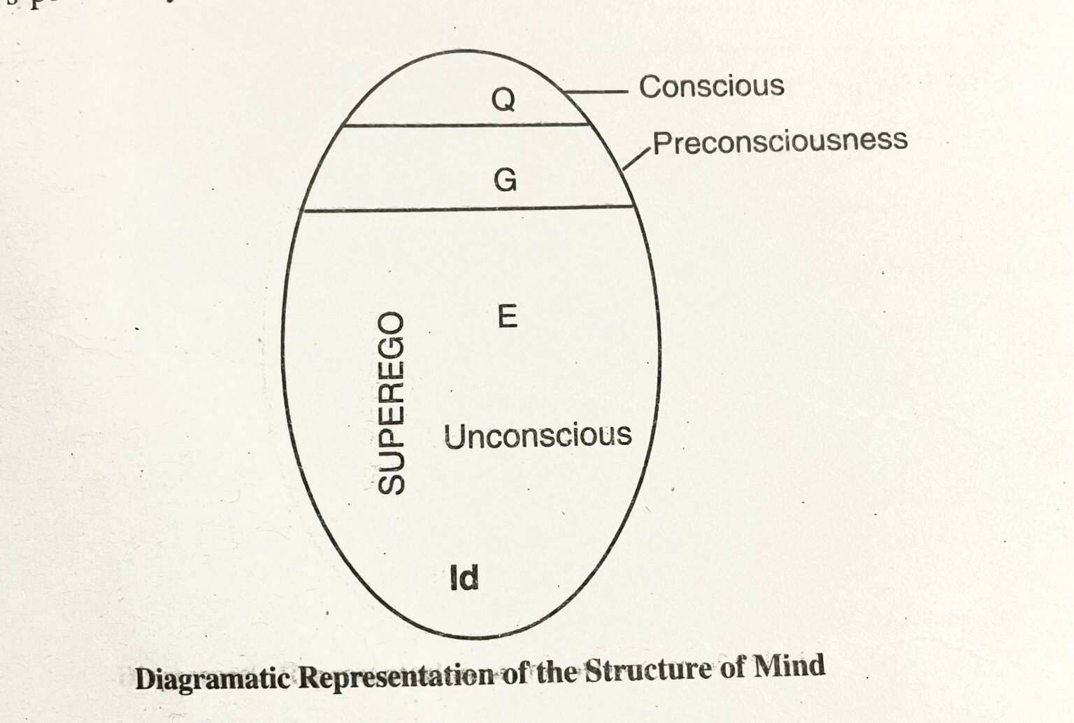 Freud’s Psychoanalytic Theory Of Socialization-B.Ed./M.Ed.